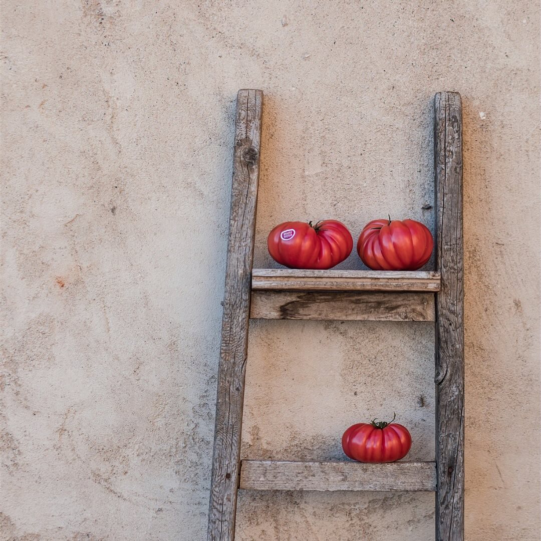 The Colourful And Flavourful History Of The Tomato: From Mesoamerica To ...