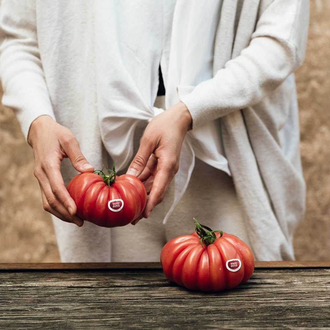 O Que é O Tomate? | Monterosa