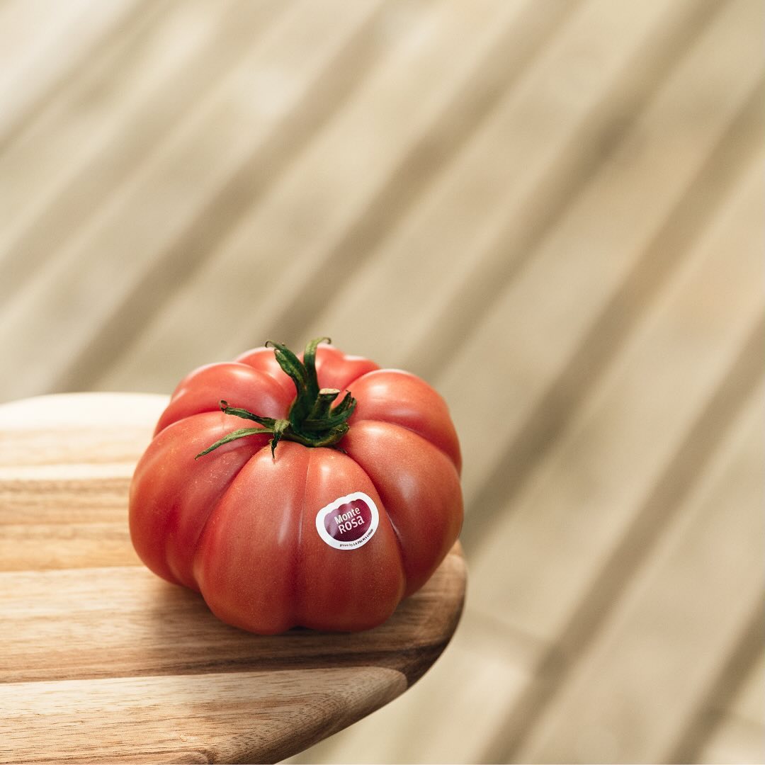 Tomate Monterosa Collection | 4 Variedades Diferentes