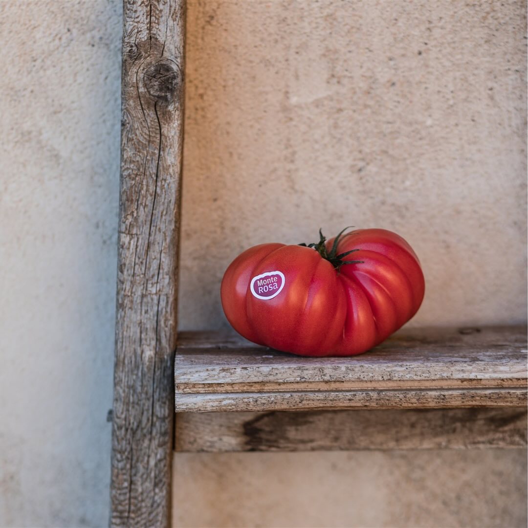 Monterosa Collection | Monterosa