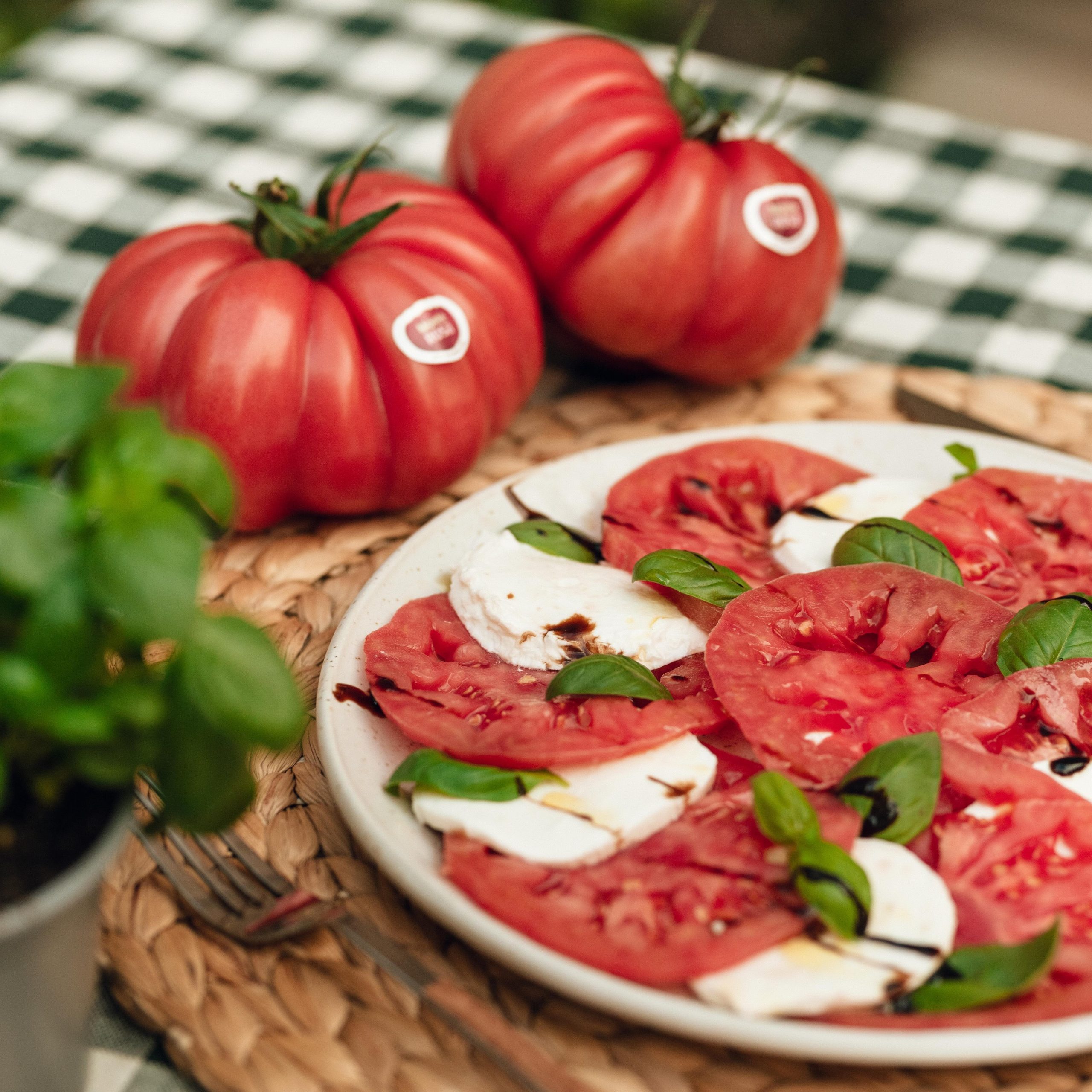 Què és El Tomàquet? T'ho Expliquem | Tomàquet Nº 1 Monterosa