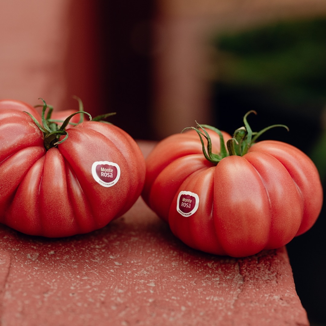 The Colourful And Flavourful History Of The Tomato: From Mesoamerica To ...